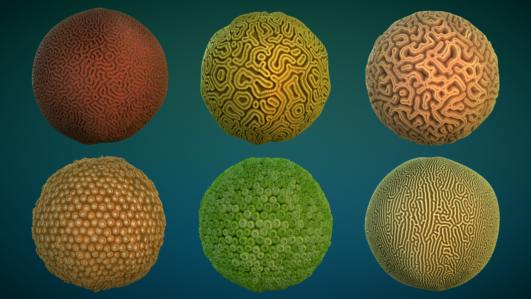 ArtStation - Coral Reef Material Pack | Game Assets
