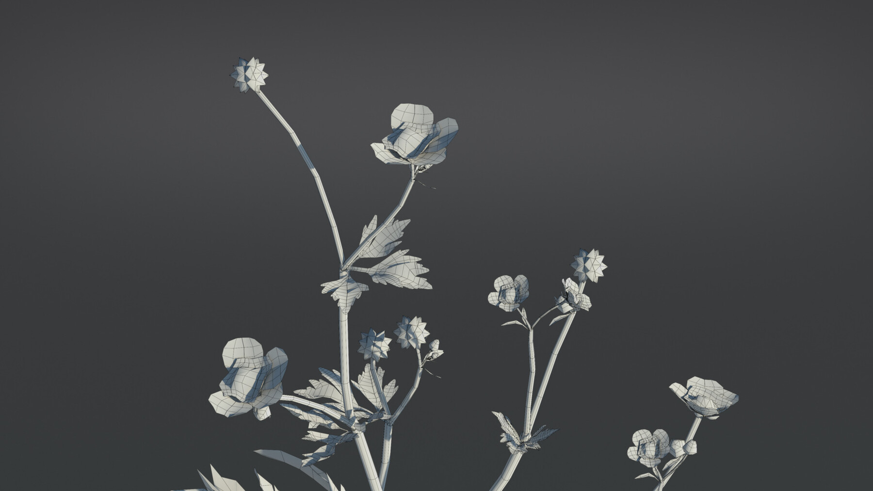 ArtStation - Buttercup Flower | VFX Grace | Game Assets