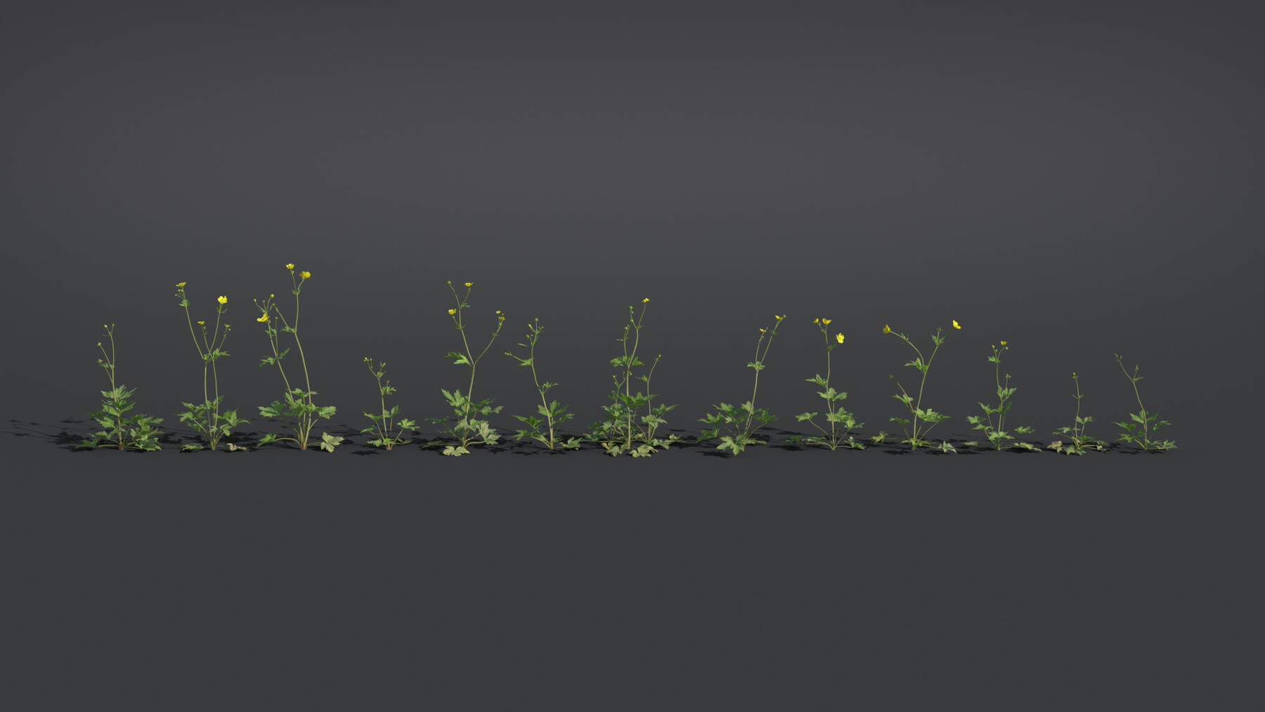 ArtStation - Buttercup Flower | VFX Grace | Game Assets