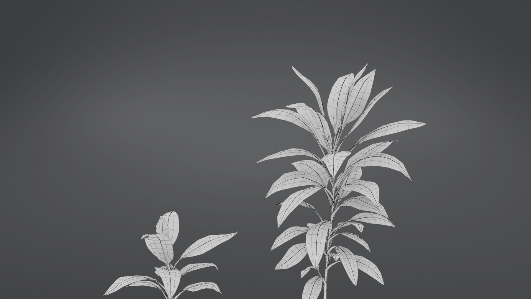 ArtStation - Cordyline Fruticosa Plant | VFX Grace | Game Assets