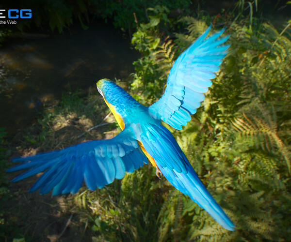 ArtStation - Animated Blue Parrot | Game Assets