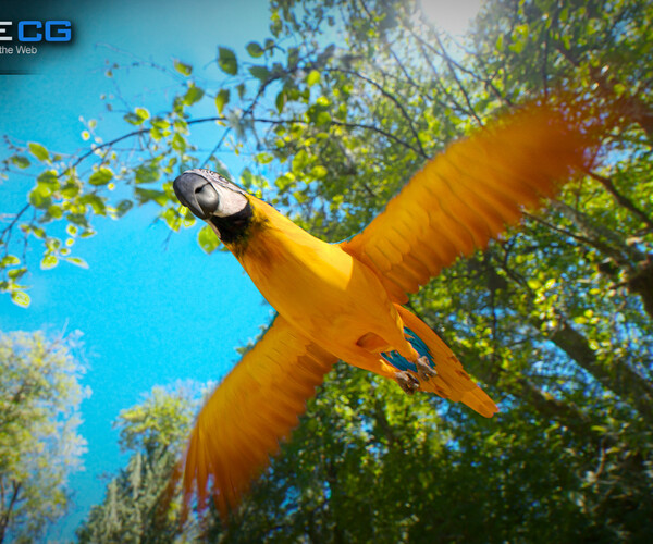 ArtStation - Animated Blue Parrot | Game Assets