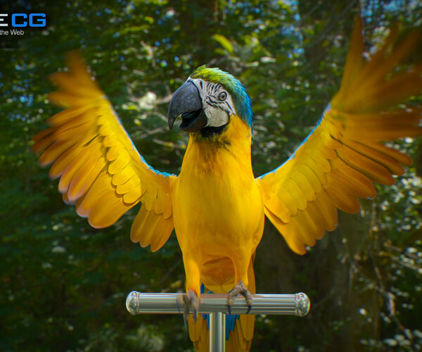 ArtStation - Animated Blue Parrot | Game Assets