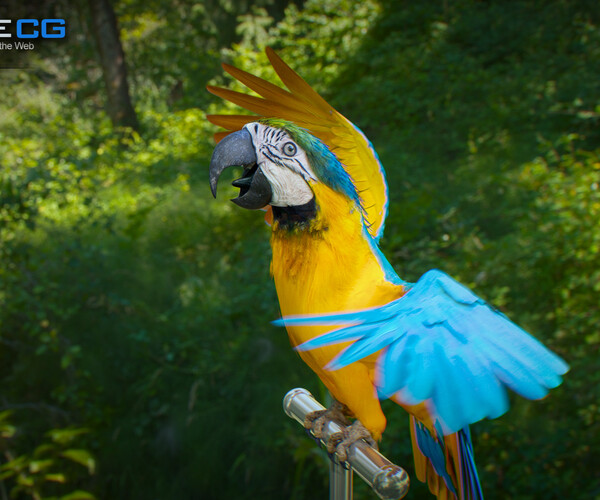 ArtStation - Animated Blue Parrot | Game Assets