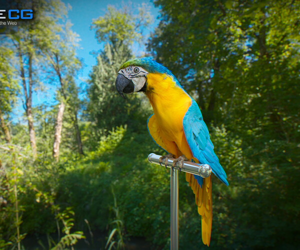 ArtStation - Animated Blue Parrot | Game Assets