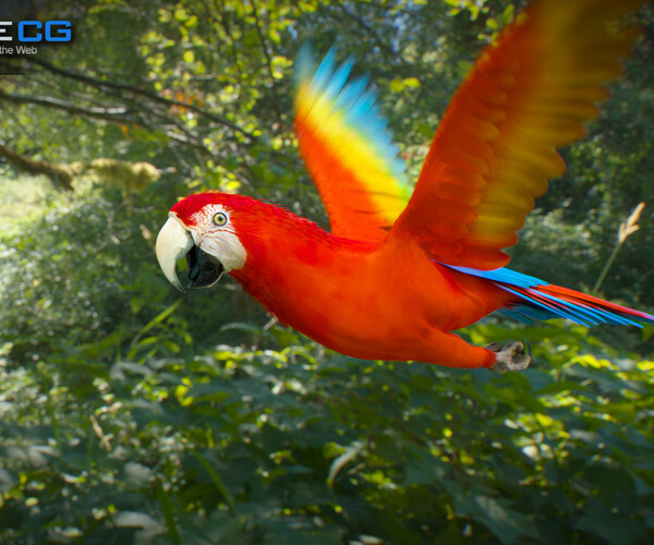 ArtStation - Animated Red Parrot | Game Assets