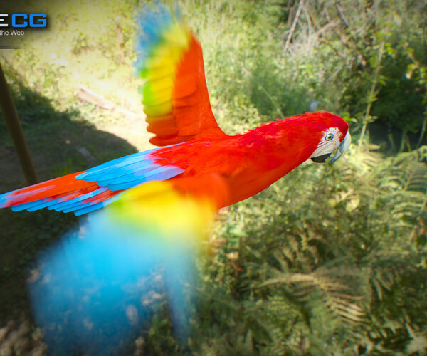 ArtStation - Animated Red Parrot | Game Assets