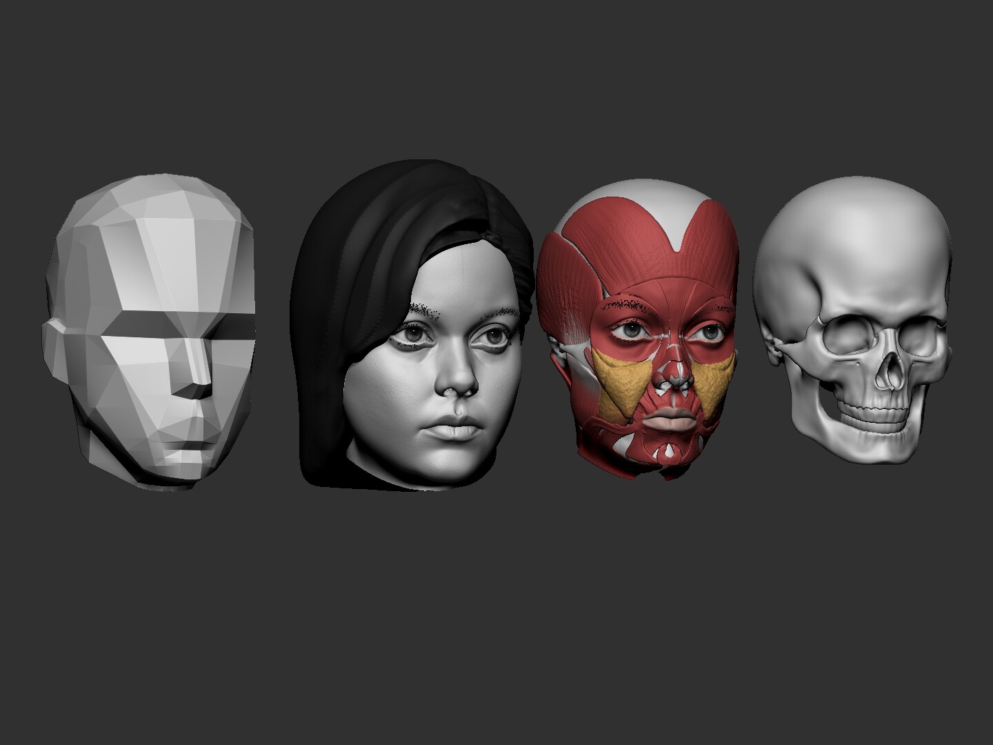 ArtStation - female head anatomy | Resources