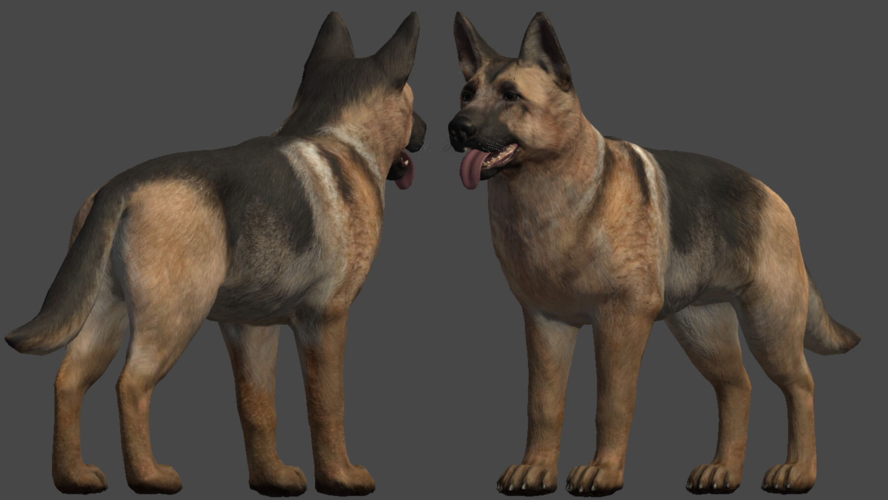 ArtStation - Dog - Shepherd | Game Assets