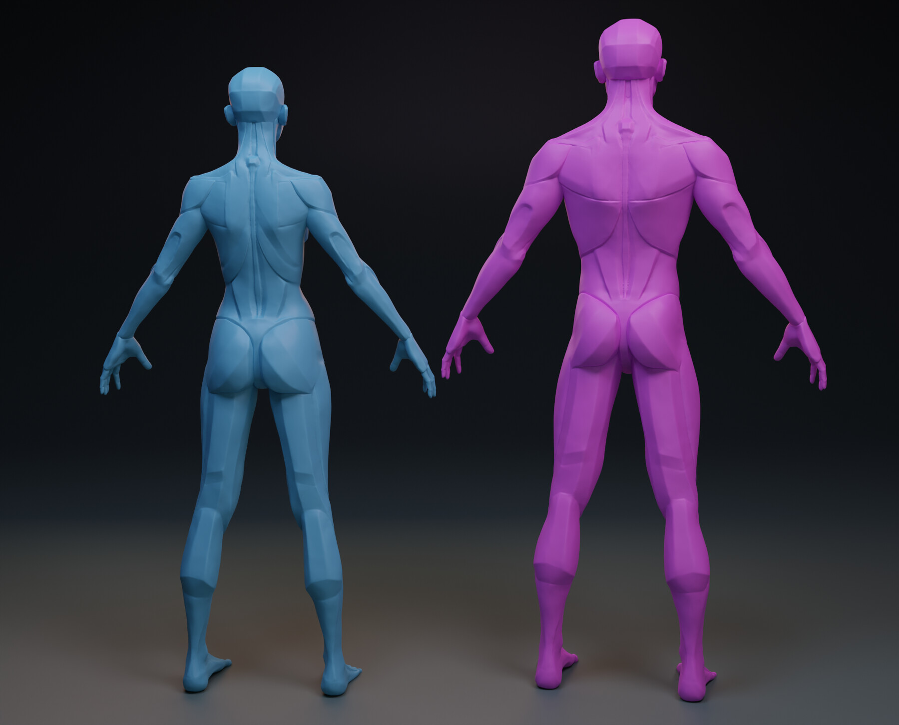 ArtStation - Base Mesh: Female + Male | Resources