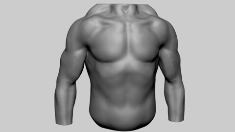 ArtStation - Male Torso 07 | Resources