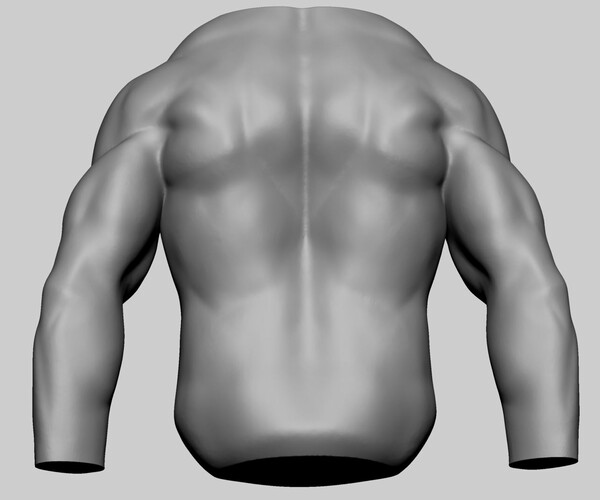 ArtStation - Male Torso 07 | Resources