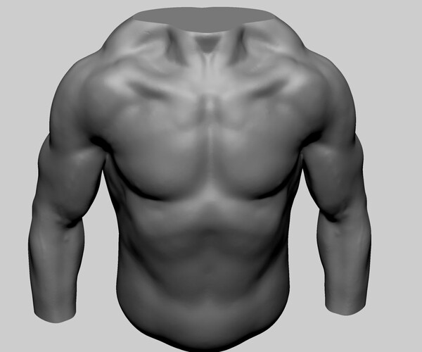 ArtStation - Male Torso 07 | Resources