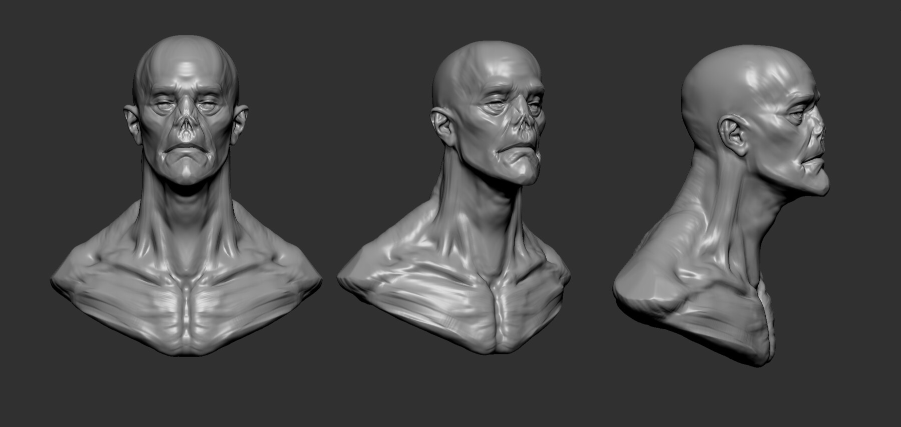 ArtStation - Generic Creature Head 2 | Game Assets