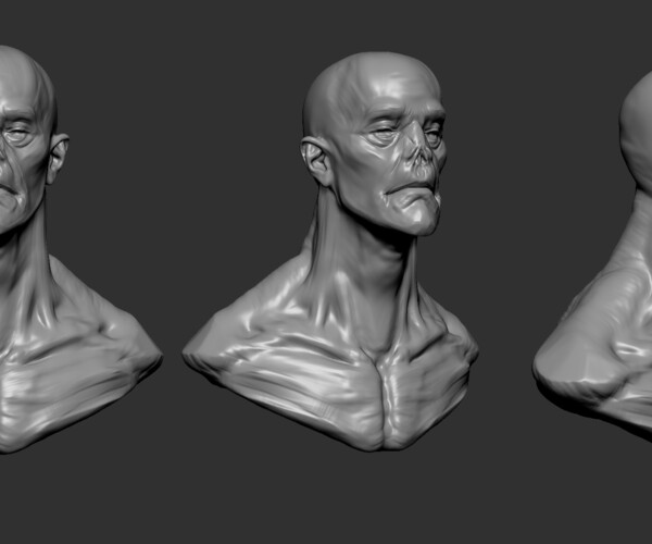 ArtStation - Generic Creature Head 2 | Game Assets