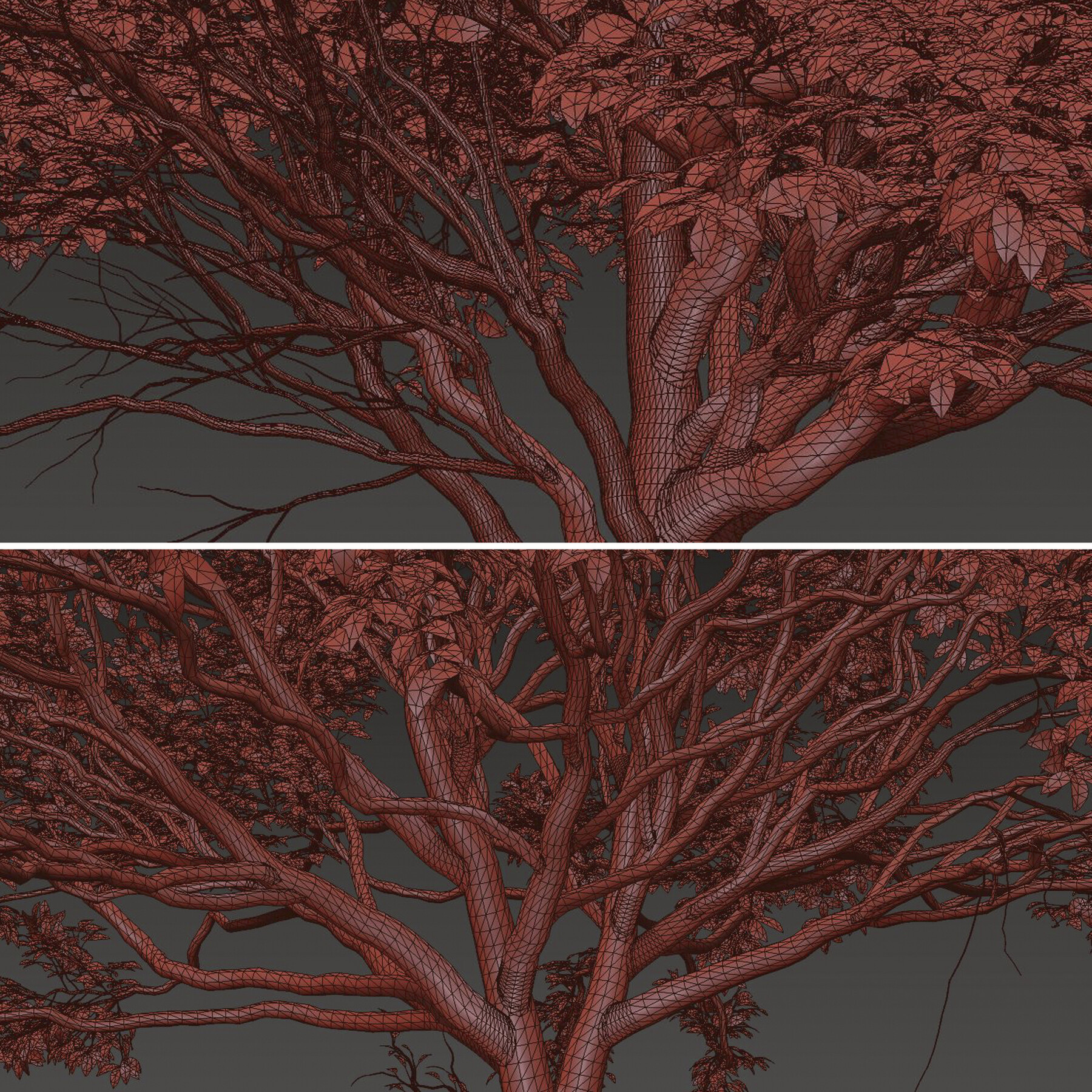 ArtStation - Set of Quercus serrata Trees ( Korean Oak ) ( 2 Trees ...