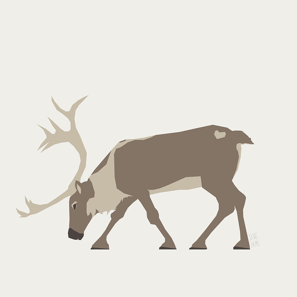 ArtStation - Minimalist animals pack | Artworks