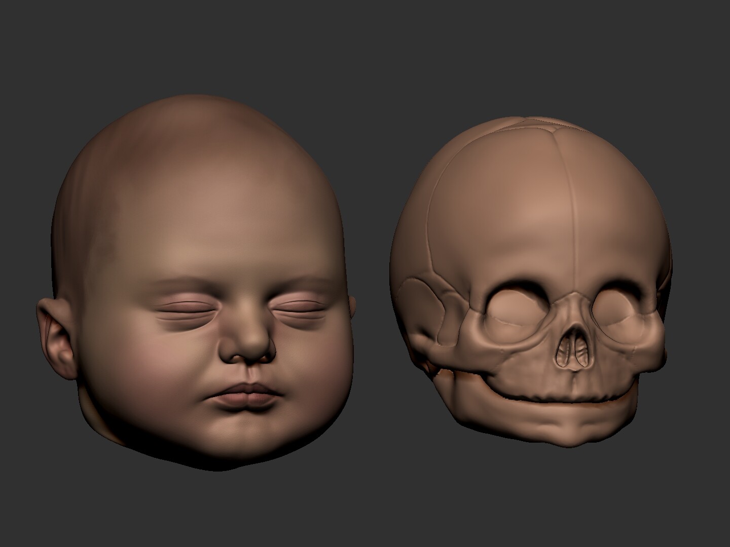 ArtStation - Baby Head | Resources