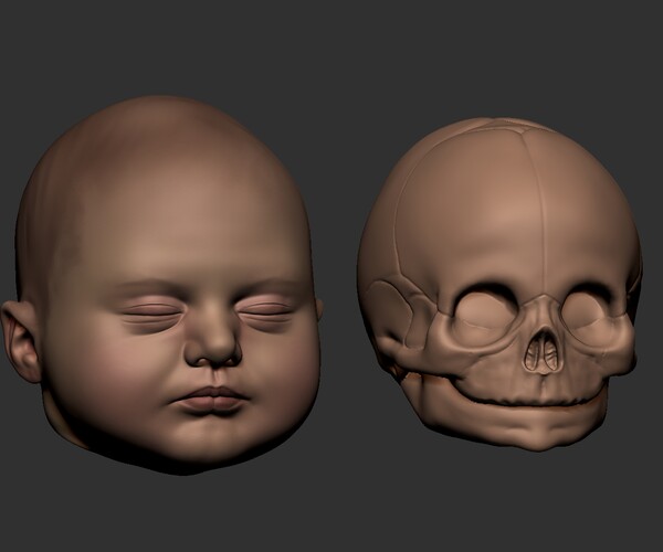 ArtStation - Baby Head | Resources