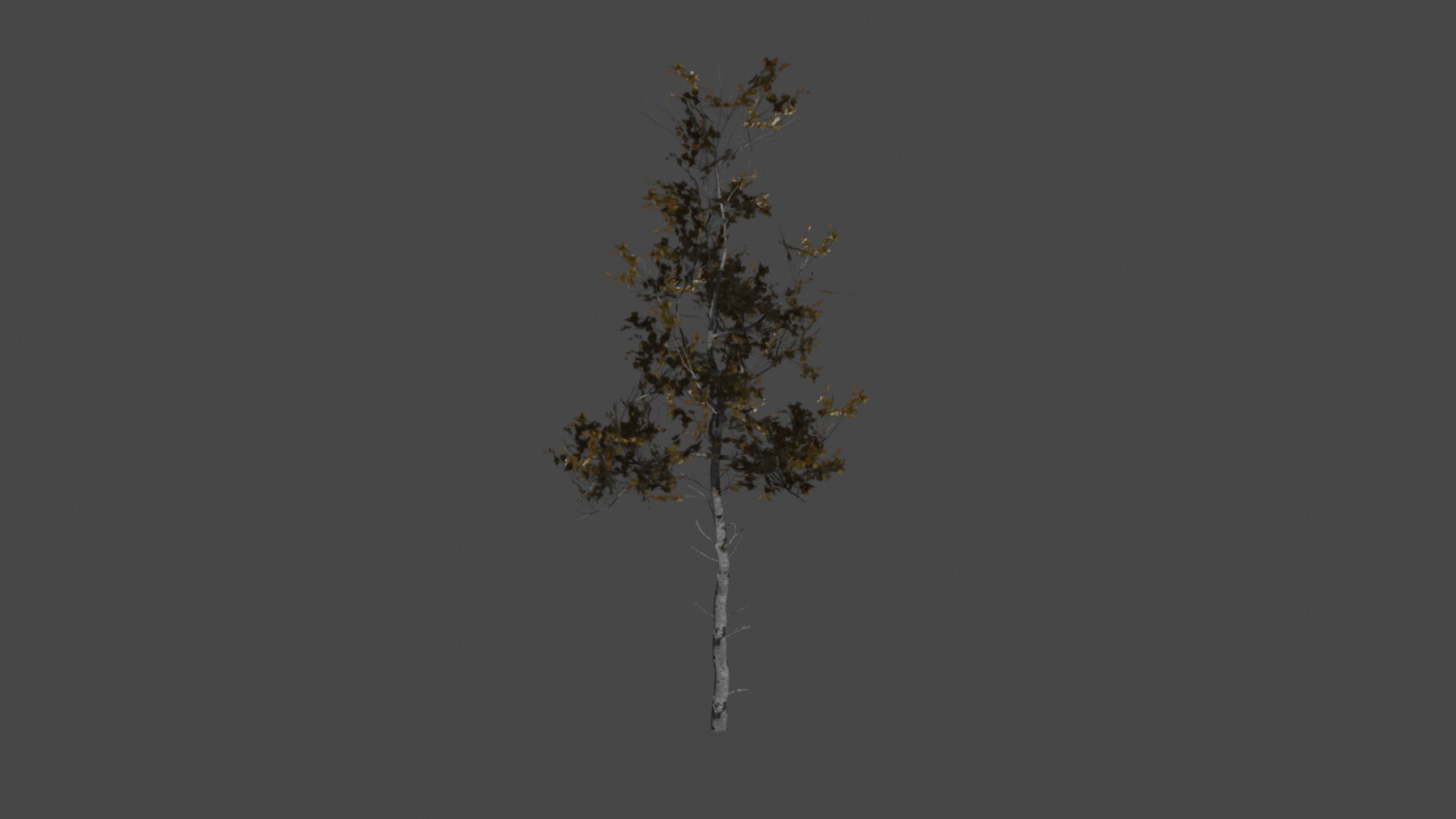 ArtStation - GameReady PBR Tree Birch | Game Assets