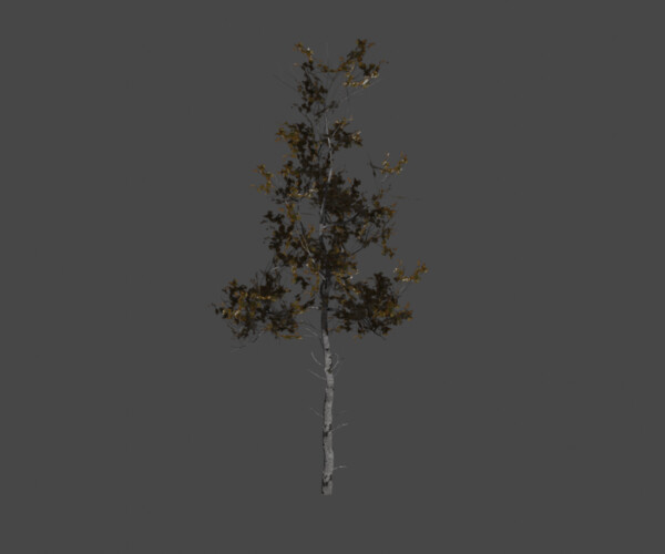 ArtStation - GameReady PBR Tree Birch | Game Assets