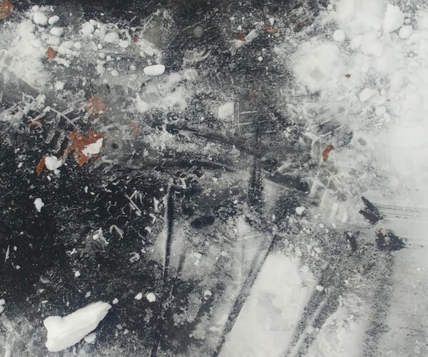 ArtStation - Snow Reference Pack - Fresh Snow On Ground, Bushes ...