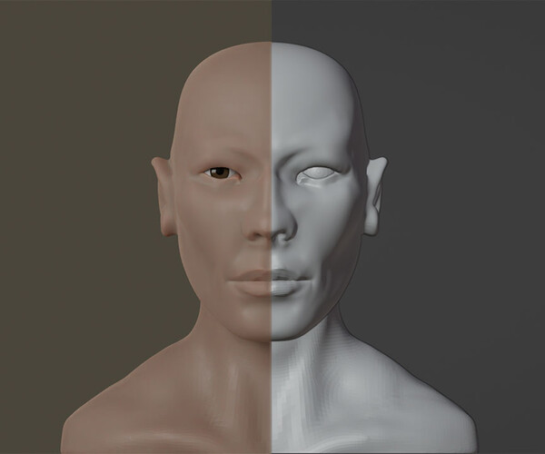 ArtStation - Base Heads - Males - Base Meshes for concept/illustration ...