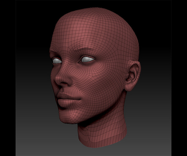 ArtStation - Woman Plus Base Mesh Z-Tool | Resources