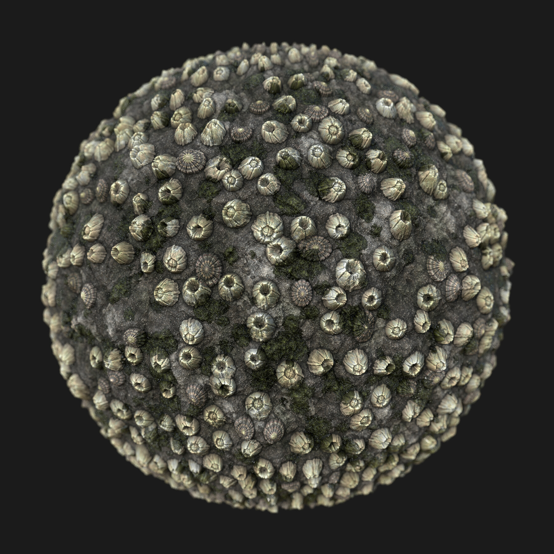 ArtStation - Barnacles And Mollusks On Rock PBR Procedural Material 001 | Game Assets