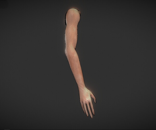 ArtStation - Female Arm - base mesh | Resources