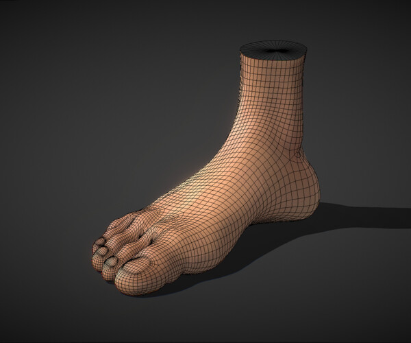 ArtStation - Fit Male Anatomy - Foot base mesh | Resources