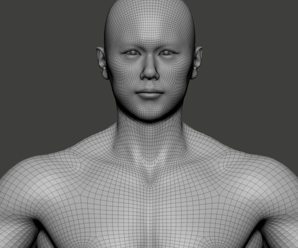 ArtStation - Male 05 Base Mesh | Resources