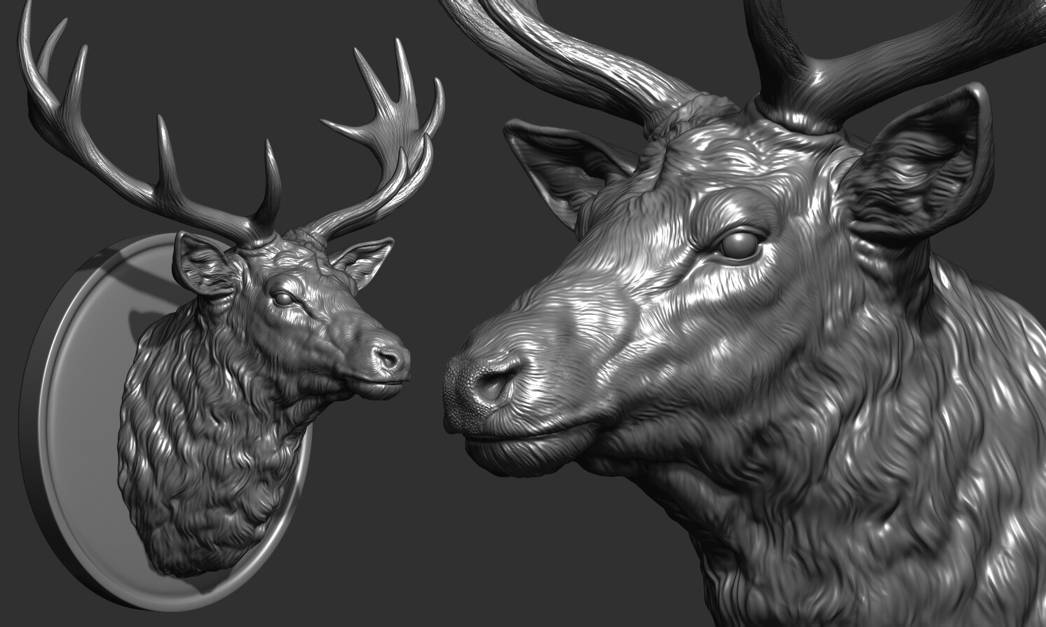 ArtStation - Deer head | Resources