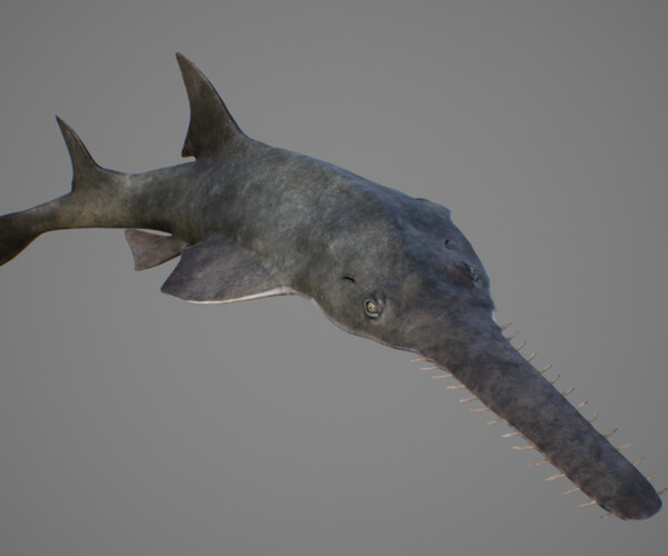 ArtStation - Sawfish – Game Ready | Game Assets