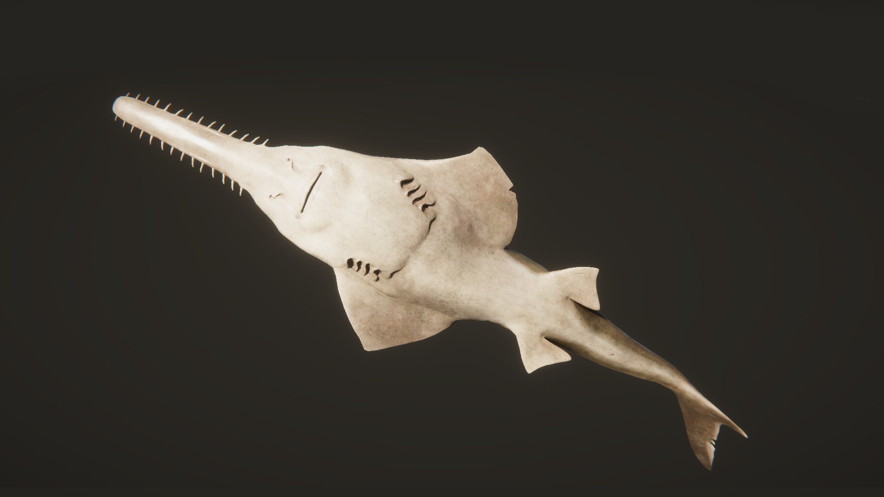 ArtStation - Sawfish – Game Ready | Game Assets