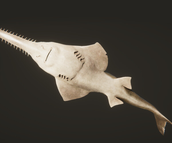 ArtStation - Sawfish – Game Ready | Game Assets