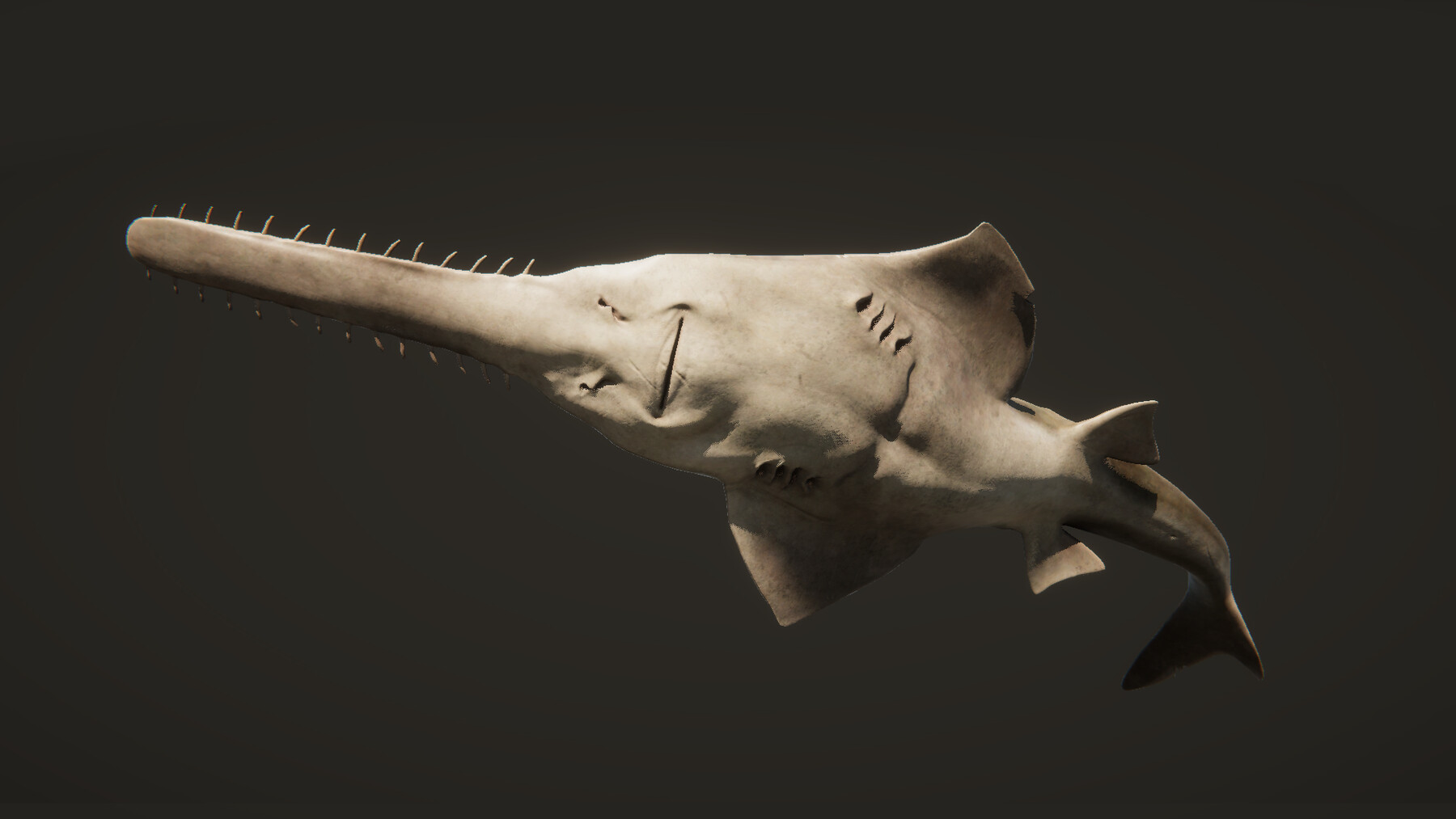 ArtStation - Sawfish – Game Ready | Game Assets
