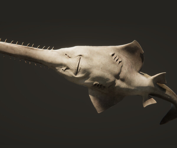 ArtStation - Sawfish – Game Ready | Game Assets