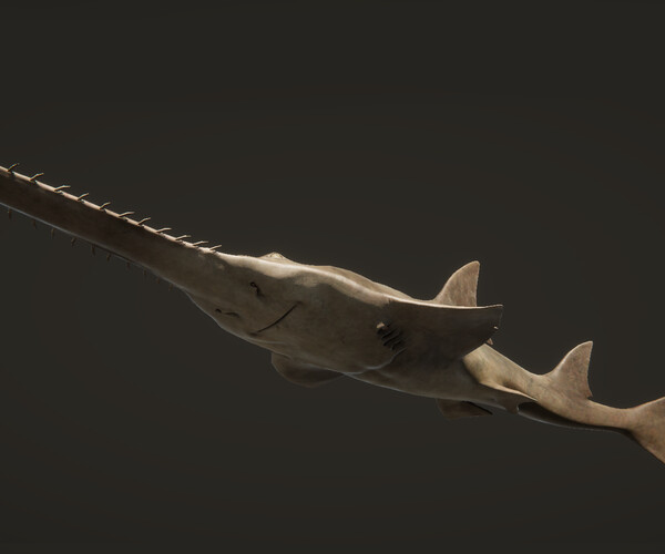 ArtStation - Sawfish – Game Ready | Game Assets