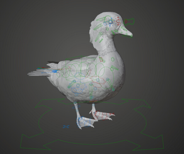 ArtStation - Mandarin Duck Female Animated | VFX Grace | Game Assets