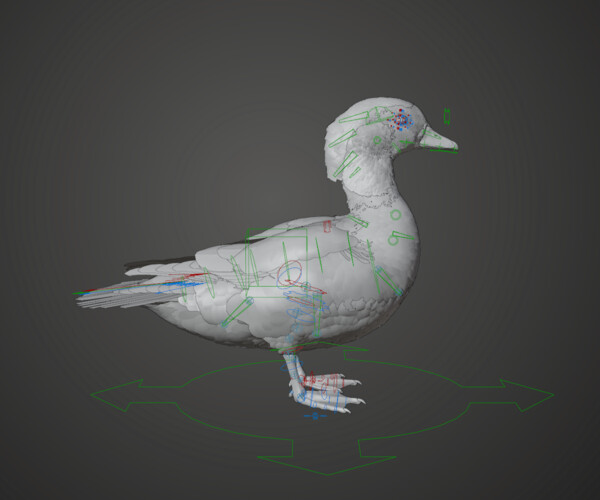 ArtStation - Mandarin Duck Female Animated | VFX Grace | Game Assets