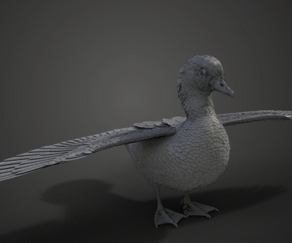ArtStation - Mandarin Duck Female Animated | VFX Grace | Game Assets