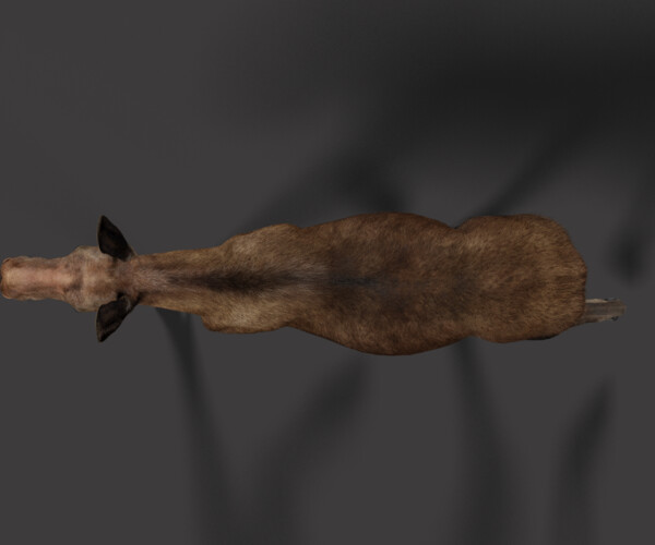 ArtStation - Moose Female Animated | VFX Grace | Game Assets