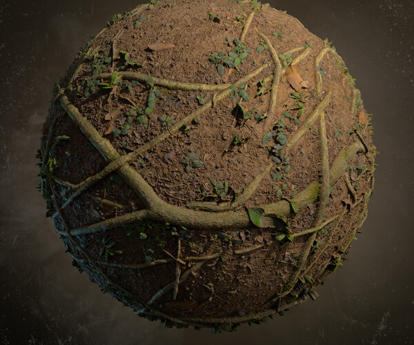 ArtStation - Tree Roots (001) - Photogrammetry Material | Resources