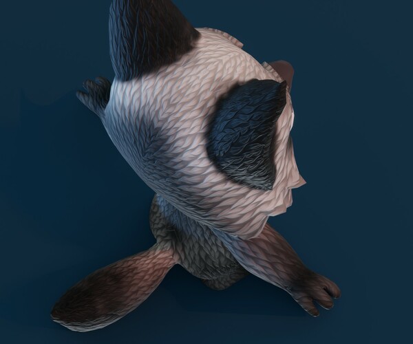 ArtStation - Cartoon Silver Fox 3D Model | Game Assets