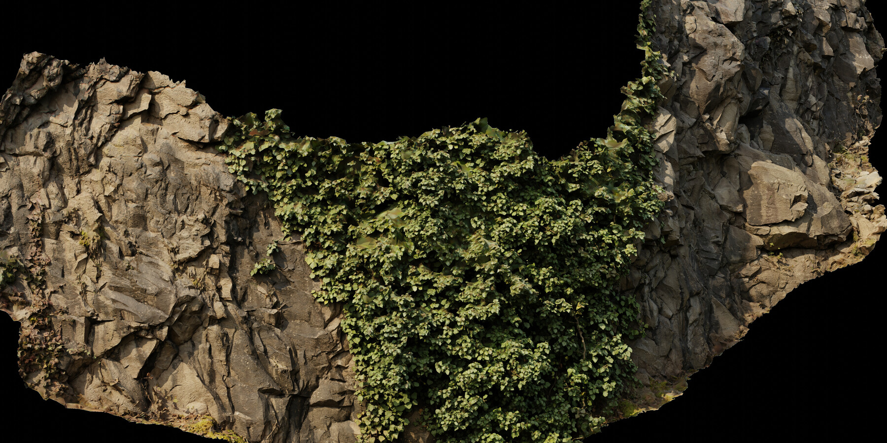ArtStation - Realistic Cliff Face & Rock Asset Pack | Resources