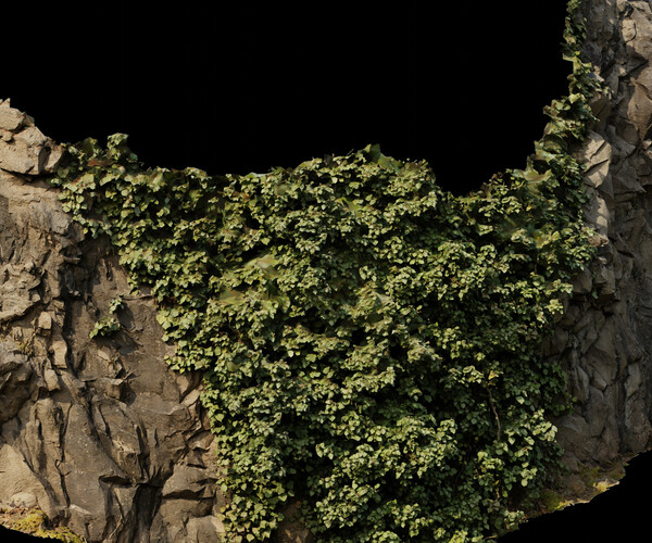 ArtStation - Realistic Cliff Face & Rock Asset Pack | Resources