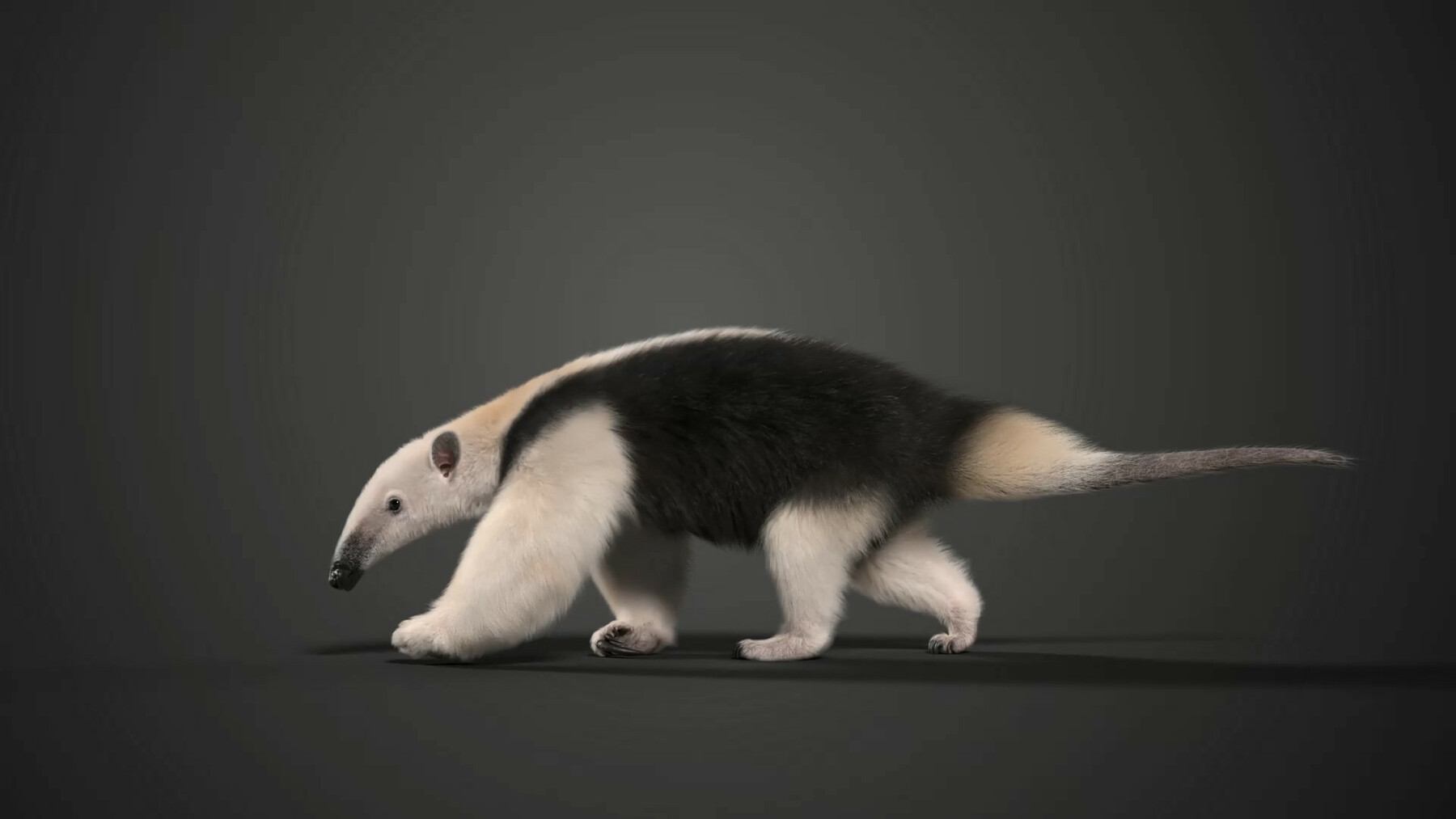 ArtStation - Baby Anteaters Animated | VFX Grace | Game Assets