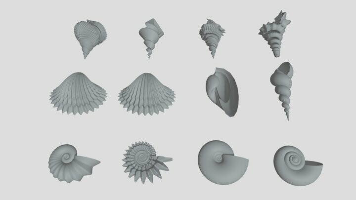 ArtStation - Sea Shell (Seashell) Generator for Blender Geometry Nodes | Resources