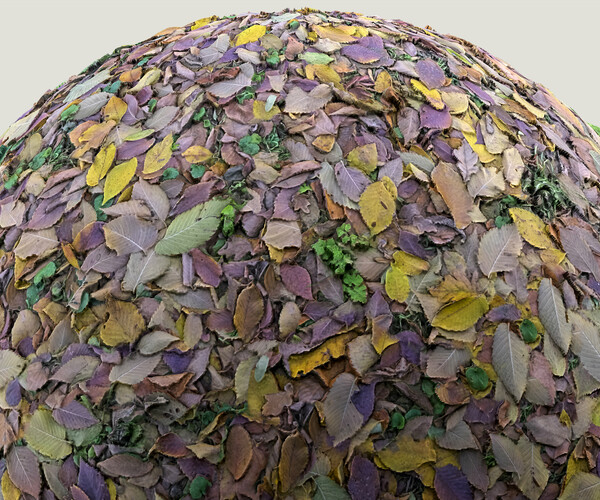 ArtStation - Fallen|Leaves 01 | Game Assets